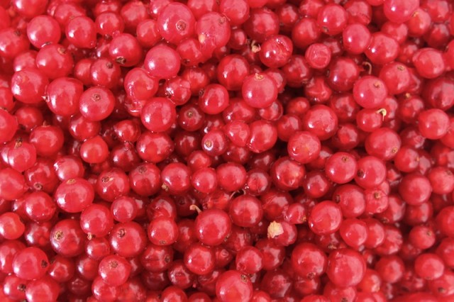 Currant Status: Ripe Red Currant Cake with Almond Meringue – Eat Me ...